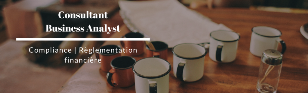 Skalis Portage salarial informatique et manager de transition en europe